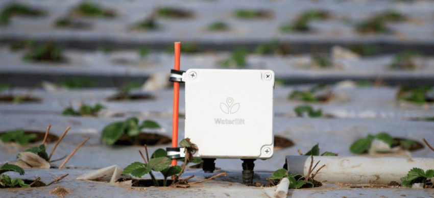 Smart Irrigation Solution Helps Farmers Grow More With Less - Profit ...